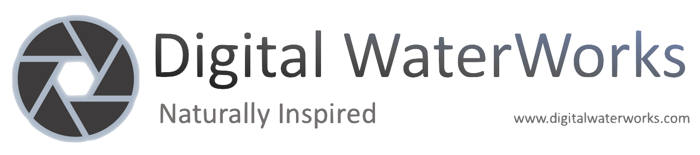 Old Cameras - Michael Miller's Digital WaterWorks Photography